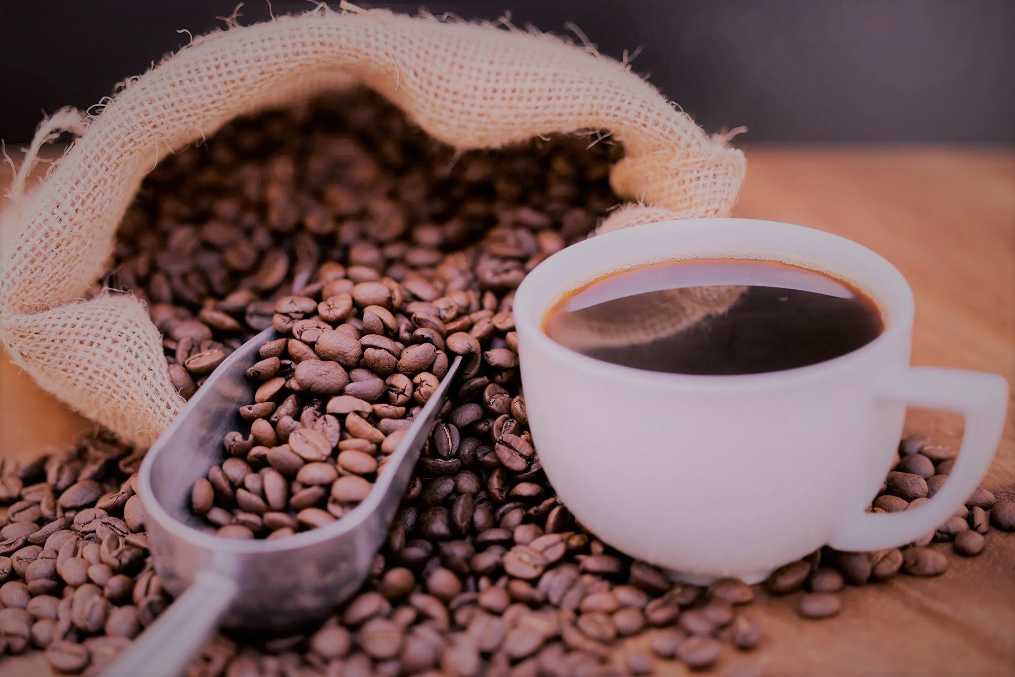 From Egypt - من مصر – From Egypt من مصر